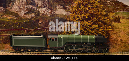 A model of an A3 locomotive on a scenic background Stock Photo - Alamy