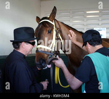 MIAMI,FL-JULY 28: Actor Alexander Estrella attends The Premier of ...