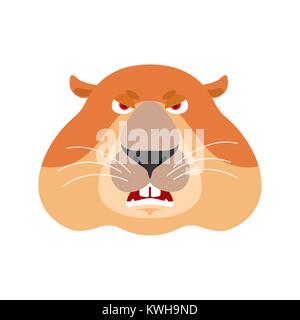 Groundhog angry. Woodchuck evil emotions avatar. Marmot aggressive ...