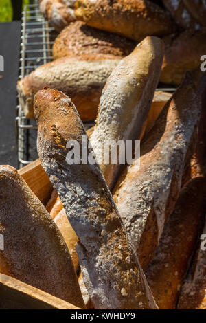 Freshly baked, golden brown ciabatta bread rolls Stock Photo - Alamy