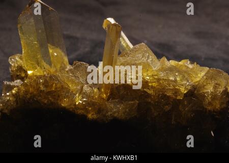 Yellow Fishtail Gypsum Crystal Cluster. Macro Image of Geological ...