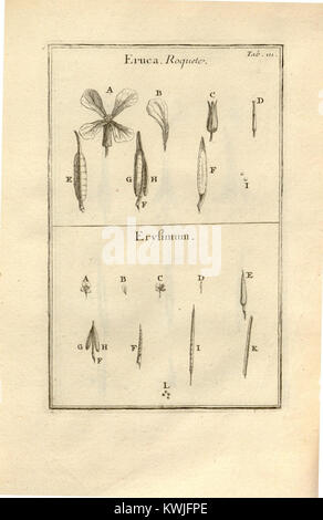 This page from Joseph Pitton de Tournefort’s “Institutiones rei ...