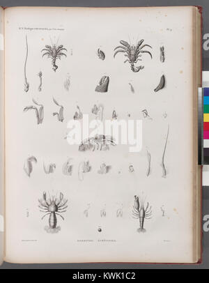 This text focuses on the biology of freshwater organisms, detailing the ...