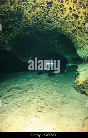 divers underwater caves diving Florida Jackson Blue cave USA Stock ...