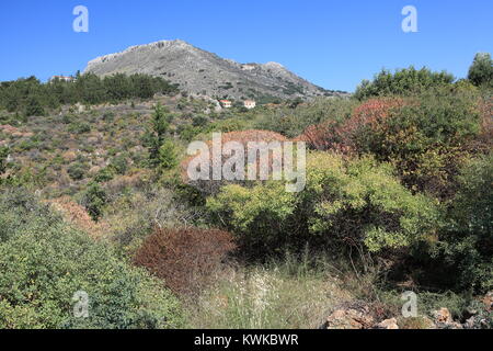 Hills above Plaka, Chania, Crete, Greece, Europe Stock Photo - Alamy