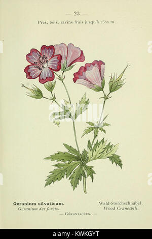 A comprehensive guide detailing various plant species, including fruits ...