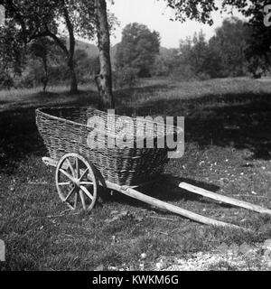 Photograph from Draga, 1961, showing the bleaching of willow rods in a ...