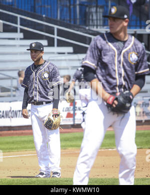 Quad Cities River Bandits pitcher A.J. Causey (40) delivers a pitch ...