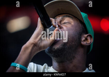 American rapper, Tyler Gregory Okonma, known professionally as Tyler ...