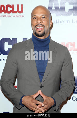 ACLU SoCal Hosts Annual Bill Of Rights Dinner Featuring: Andra Day ...