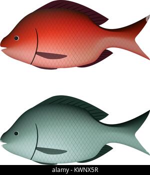 Vector design of food and raw sign. Set of food and nature vector icon ...