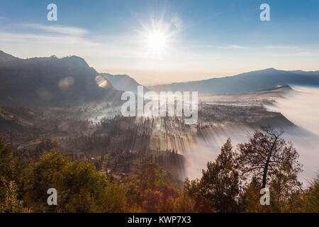 Sunrise in the forest near Bromo volcano, Java island, Indonesia Stock ...