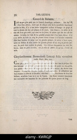 This collection features various foreign and uncommon bird species ...