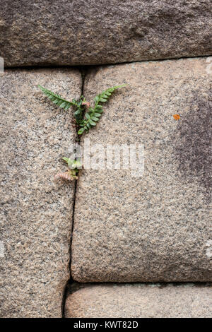 Puzzle-piece stonework: the remarkably precise interlocking stone ...
