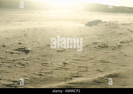 Crazy alien landscape beach terrain that look like a other planet Stock ...