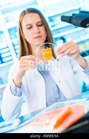 Fish research in laboratory. Food Processing and Quality Control Fish ...