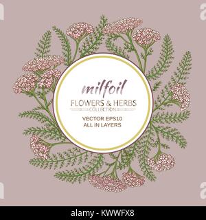 yarrow flowers vector frame on color background Stock Vector Image ...