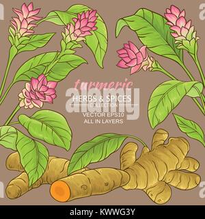 turmeric plant vector frame on white backgrond Stock Vector Image & Art ...