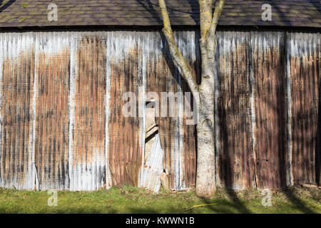 Rusty metal cladding sheets on the side of a farm building. England UK ...