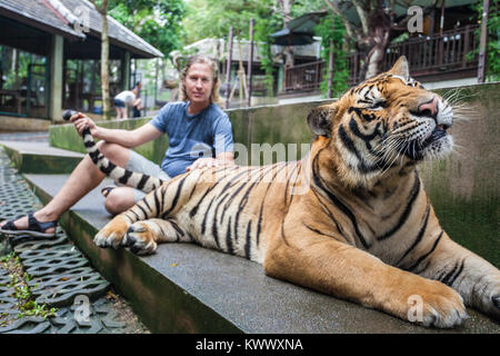 Young man hugging a big tiger in Thailand Stock Photo: 170829498 - Alamy