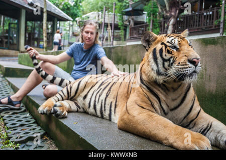 Young man hugging a big tiger in Thailand Stock Photo - Alamy