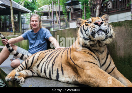 Young man hugging a big tiger in Thailand Stock Photo - Alamy