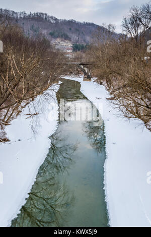 A mountain stream flows through a snow covered canyon forest in the ...