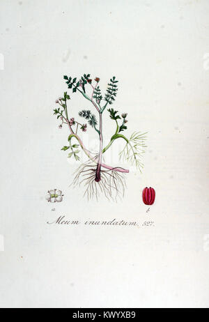 This historical text provides a detailed account of the natural history ...