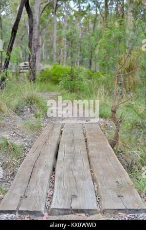 Walking tracks near Munall camping area, Blackdown Tableland National ...