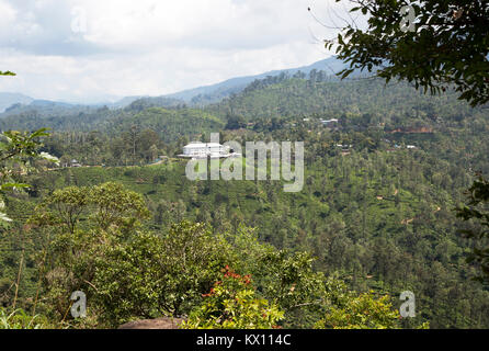 Newburgh tea factory and estate, Ella, Badulla District, Uva Province ...