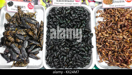 Thai street exotic food. Edible fried beetles, crickets Stock Photo - Alamy