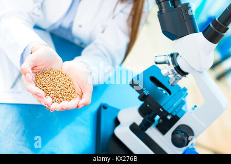Selective and genetic work with seeds and grains in a scientific ...