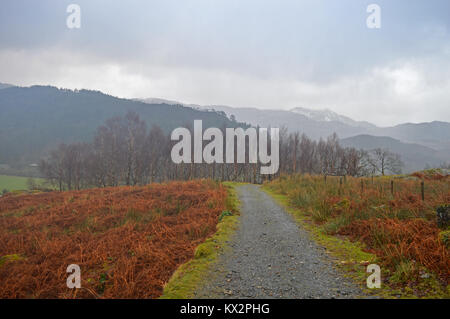 Wenallt walk off the Watkin Path Stock Photo - Alamy