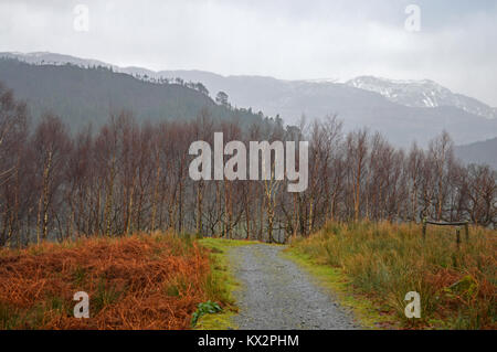 Wenallt walk off the Watkin Path Stock Photo - Alamy