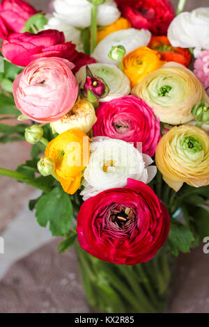 RANUNCULUS BULBOSUS, spring colorful bunch of flowers, womens day ...