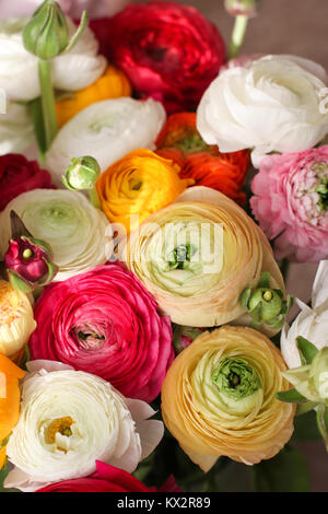 RANUNCULUS BULBOSUS, spring colorful bunch of flowers, womens day ...