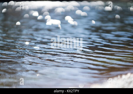 Reflection of pond, Yoyogi Park, Shibuya-Ku, Tokyo, Japan Stock Photo ...