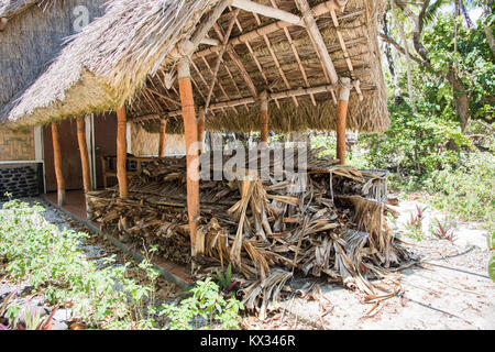 Hut made of tree beams and branches in sunny birch forest in summer ...