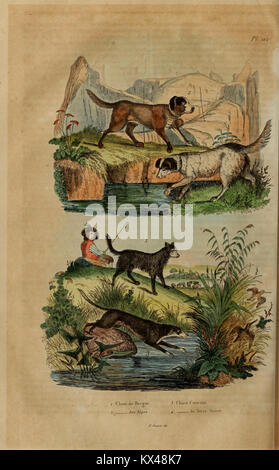 A picturesque dictionary of natural history and natural phenomena ...