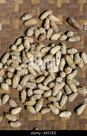 Lots of raw peanuts in shell Stock Photo - Alamy