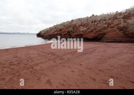 Galapagos red sand beach on Rabida Island. The red color is from ...