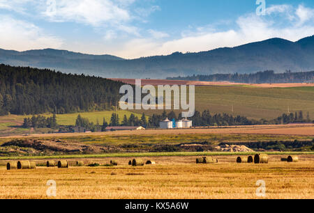agricultural fields of Slovakia. beautiful agrarian countryside ...