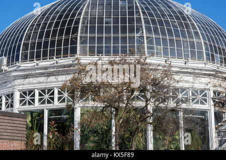 Allan Gardens Horticultural Building Toronto Ontario Stock Photo - Alamy