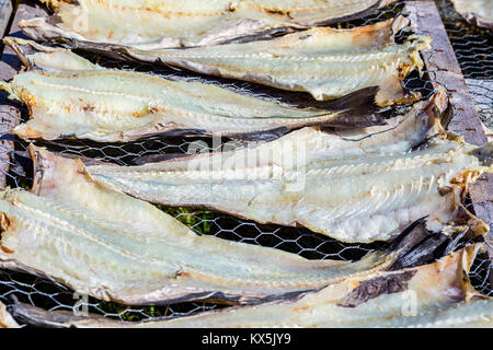 Salt cod drying on racks in rural Newfoundland, Canada Stock Photo - Alamy