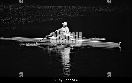 Single rowing skiff in race on river Neckar Heidelberg Germany Stock ...