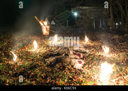 Hunting stretch with roe deer Stock Photo - Alamy