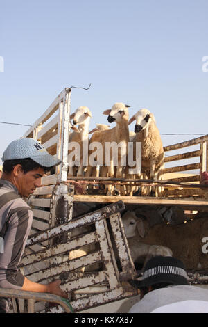 Utah National Guard 151st Expeditionary Medical group assist people and ...