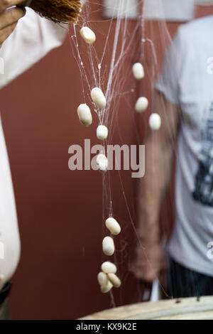 Boiling silkworm cocoon in the pot for process silkworm cocoon thread ...