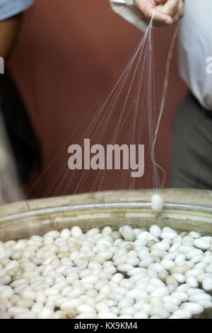 Boiling silkworm cocoon in the pot for process silkworm cocoon thread ...