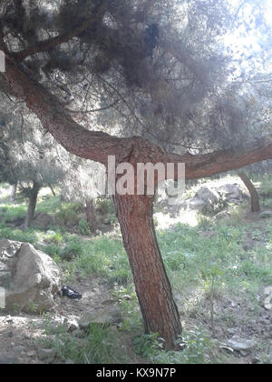 Aglayan Kaya is a geological and natural landmark, known for its ...